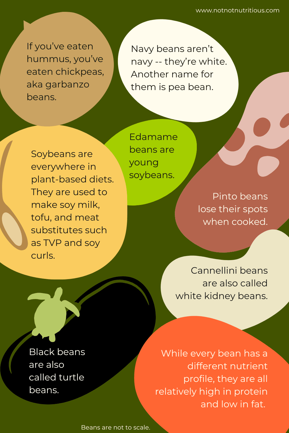 Infographics - IS - Sylvia Eastman